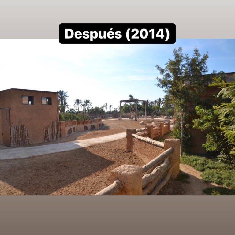 About Río Safari - Río Safari Elche