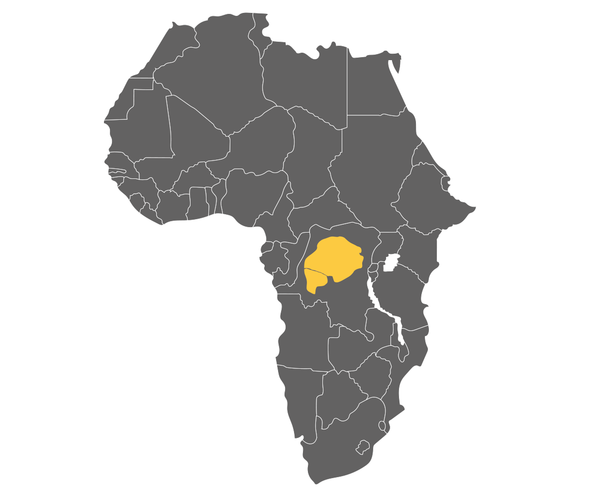 Black-crested mangabey - Río Safari Elche