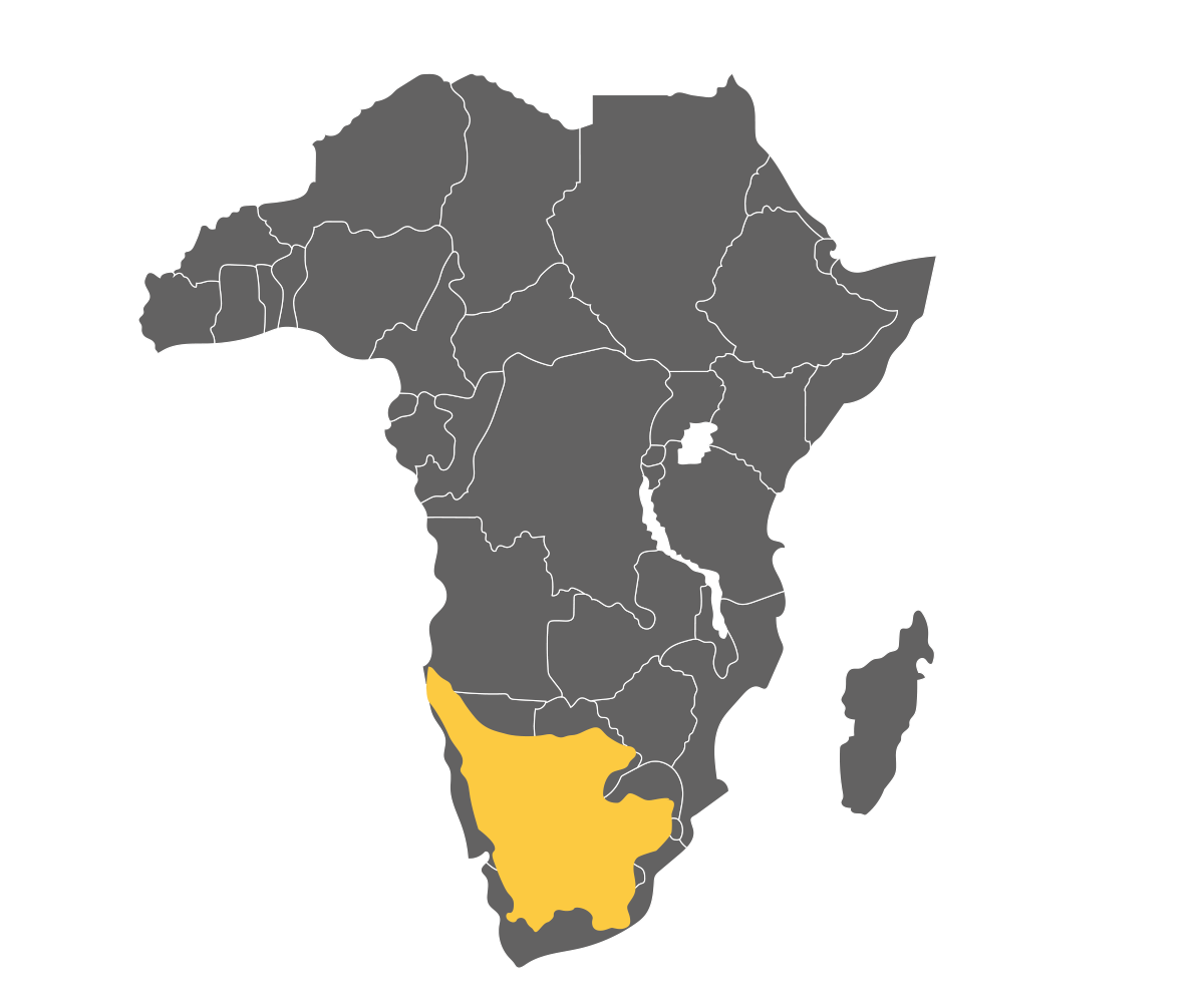 Meerkat - Río Safari Elche