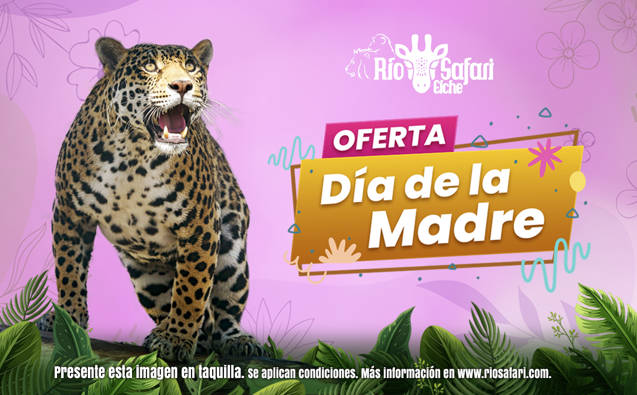 Actualidad - Río Safari Elche